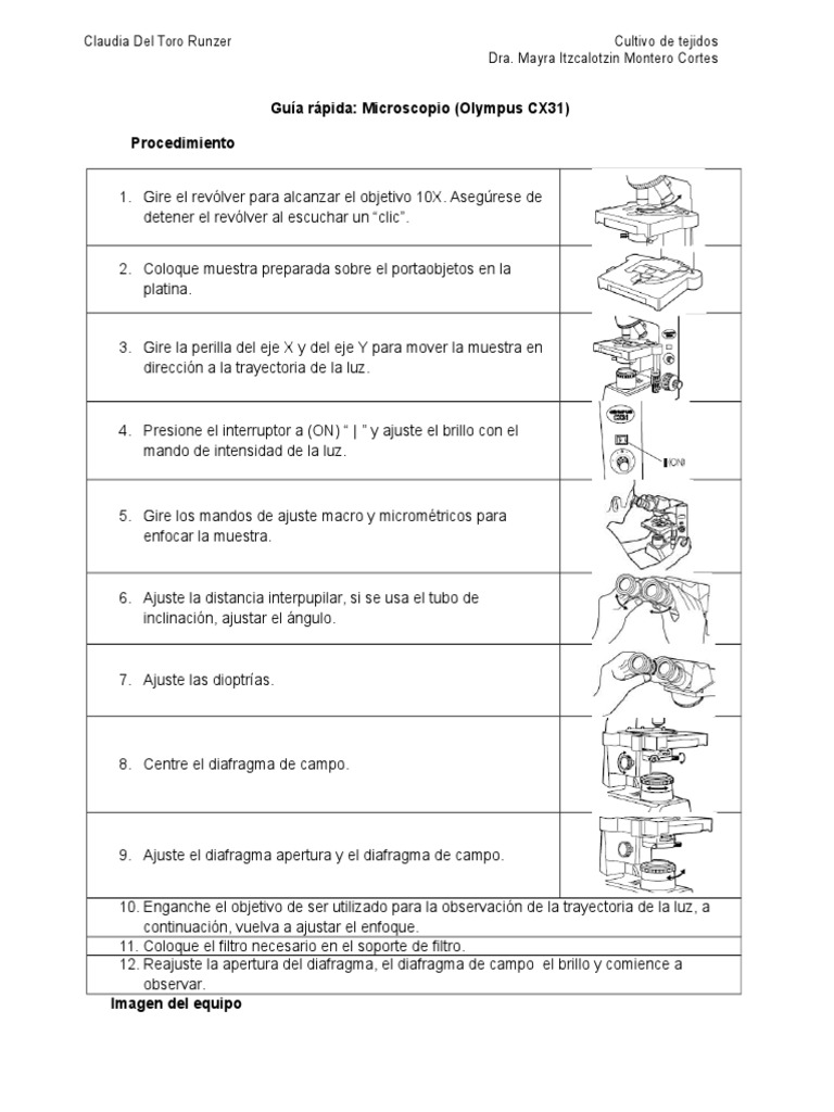 Guía rápida del microscopio Olympus CX31 | PDF | Naturaleza | Science