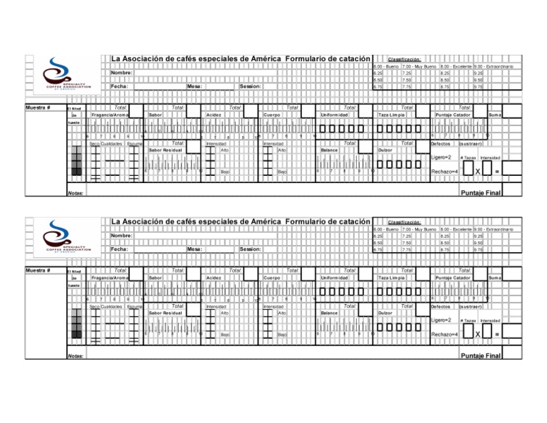 Formato Scaa | PDF