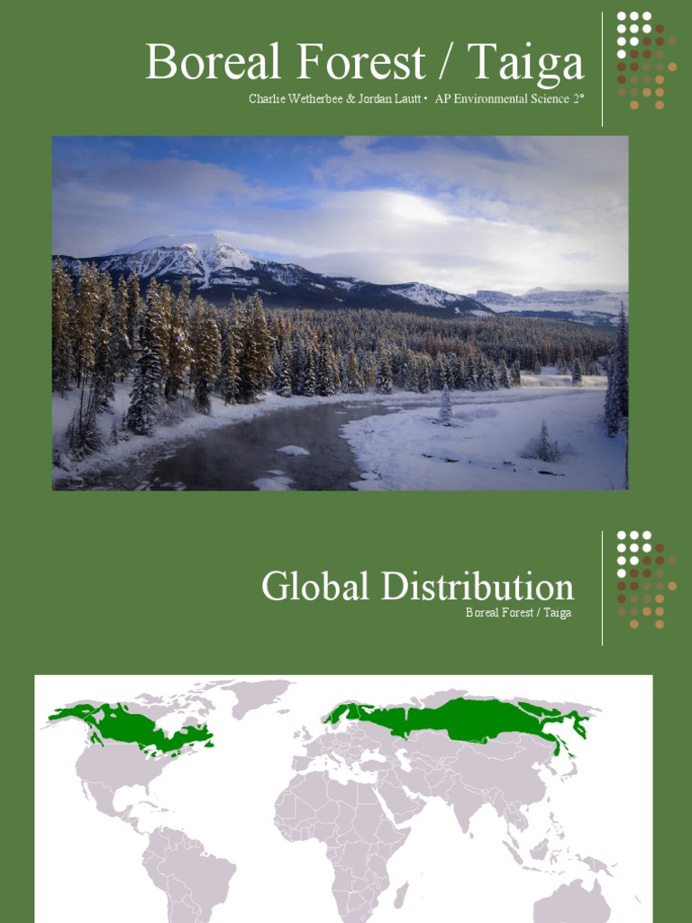 Boreal Forest/ Taiga Biome PowerPoint | Forests | Ecology
