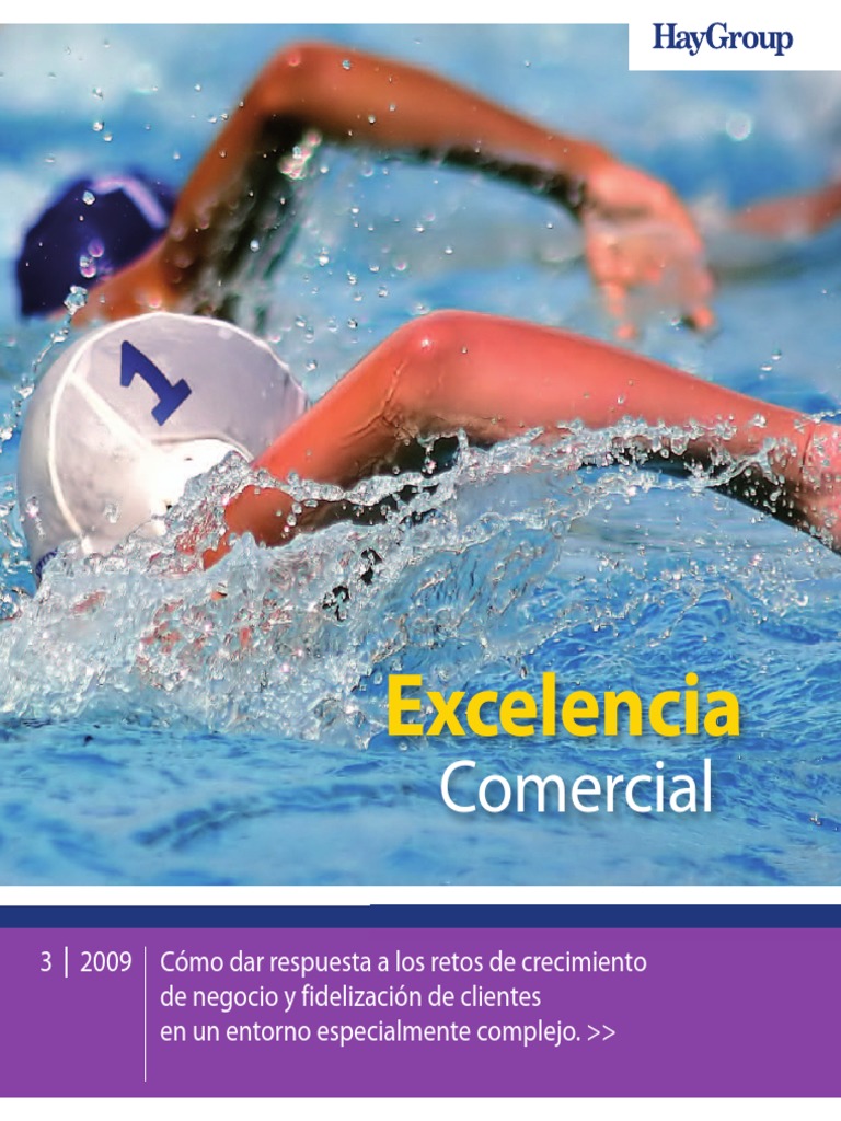 Excelencia Comercial | PDF | Planificación | Conocimiento