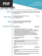 Netflix CV | PDF | Startup Company | Small Business & Entrepreneurs