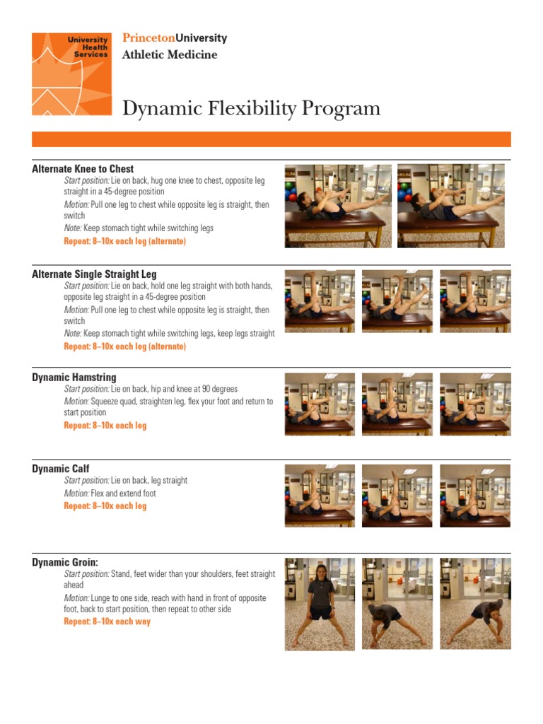 Dynamic Flexibility Program: Athletic Medicine | PDF