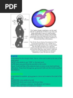 MacMillan Matrix As Decision Tree | PDF | Volunteering | Nonprofit ...