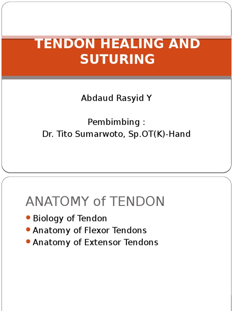 Tendon Healing and Suturing | PDF | Extracellular Matrix | Healing