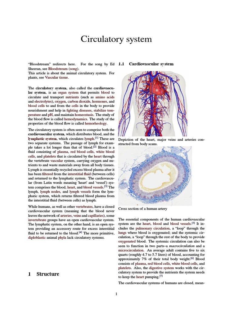 Circulatory System | PDF | Circulatory System | Atrium (Heart)