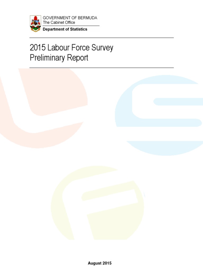 Labour Force Survey Preliminary Report 2015 150806 | Labour Economics ...