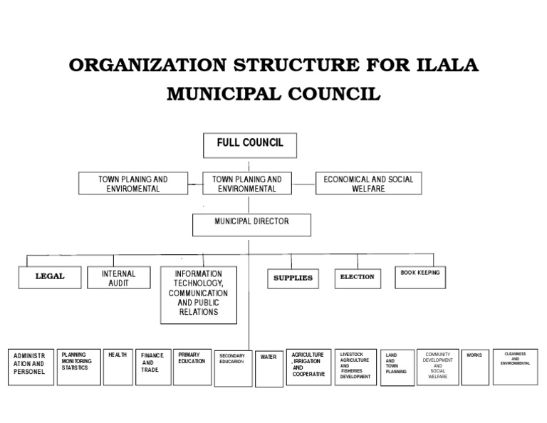 Ilala Municipal Council Structure | PDF | Technology & Engineering