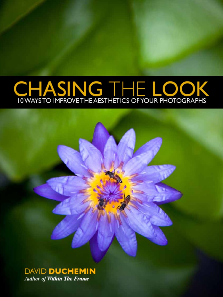 David DuChemin - Chasing The Look | PDF | Camera Lens | Exposure ...