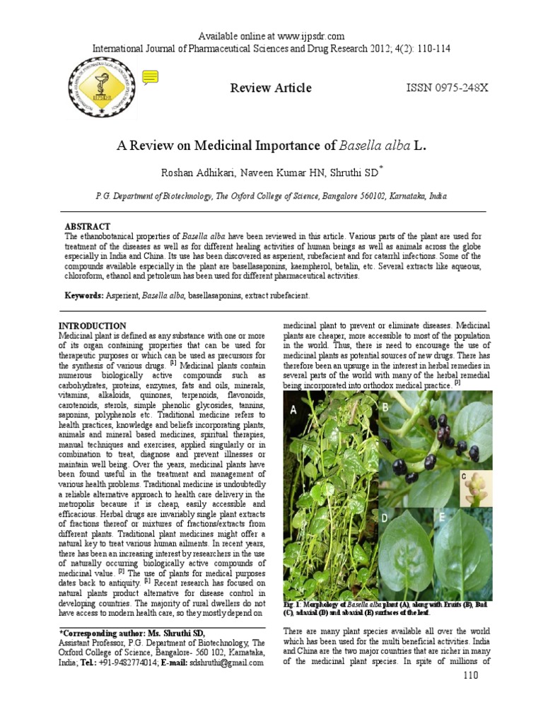 Basella Alba. Bachali | Download Free PDF | Biology | Medicine