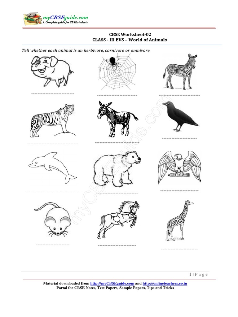 Herbivore Carnivore Omnivore Drawing NEW * Omnivore, Carnivore Or