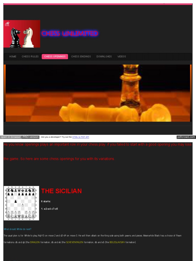 CHESS OPENINGS GUIDE | PDF | Chess Openings | Chess Theory