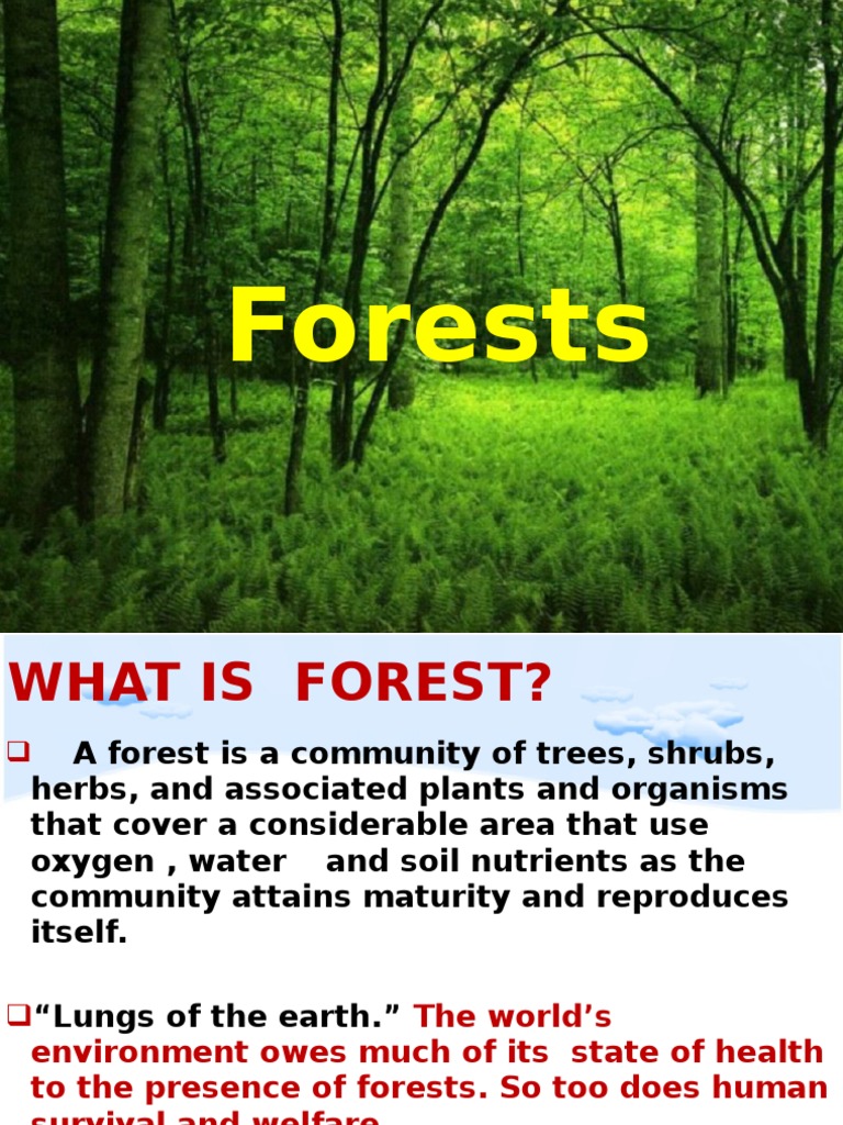 Forest | PDF | Forests | Endangered Species