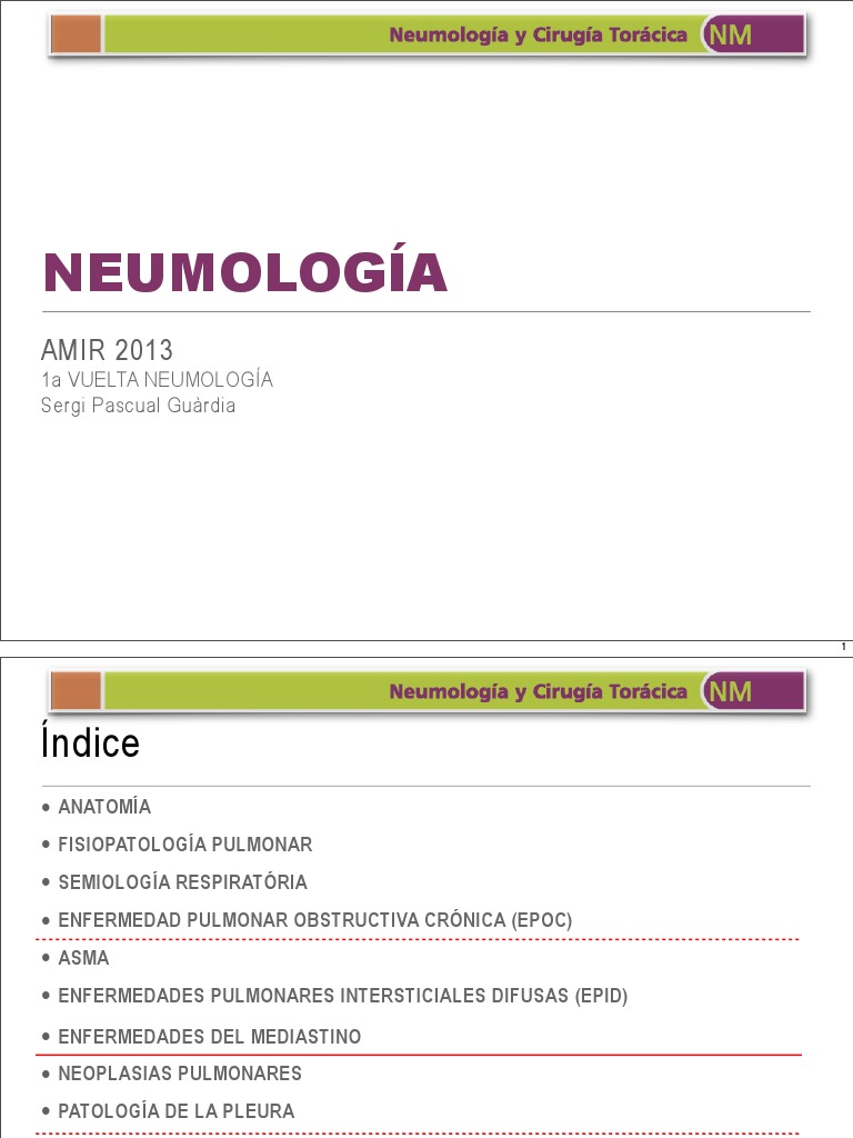 Neumo - AMIR 1a Vuelta 2013 | PDF | Asma | Enfermedad pulmonar ...