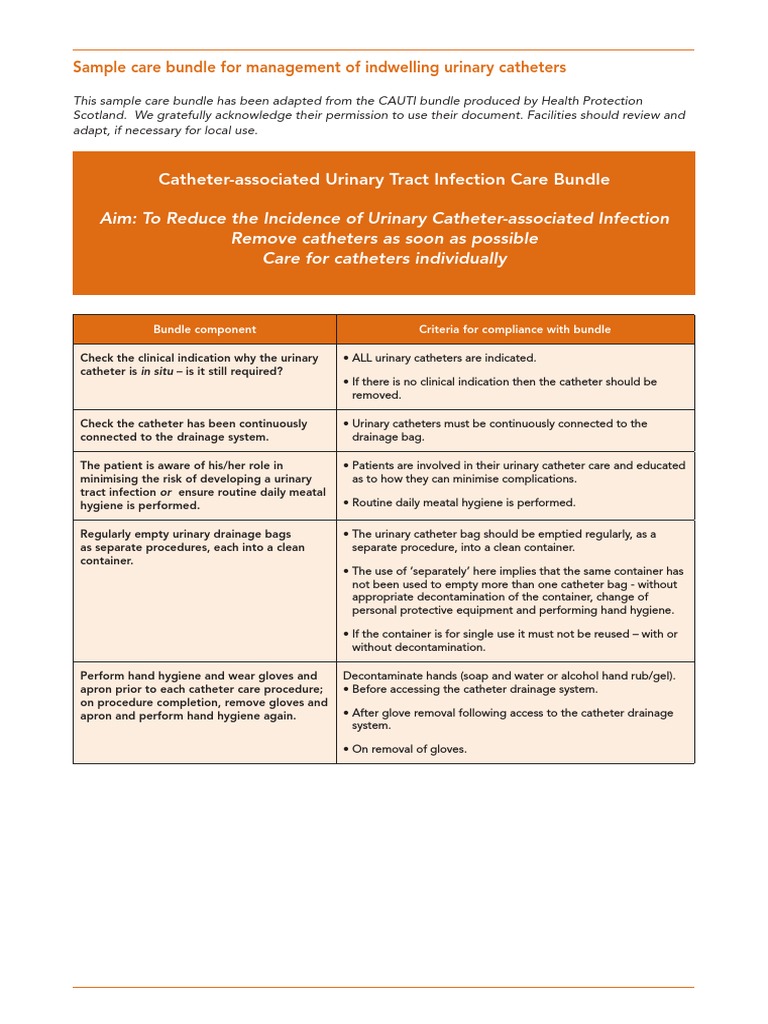 Catheter-Associated Urinary Tract Infection Care Bundle | Hygiene ...