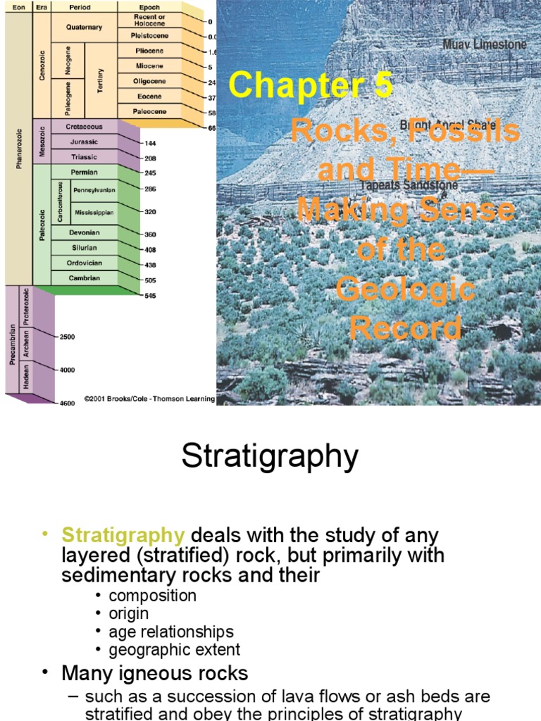 ESC102Ch5 | Stratigraphy | Fossil
