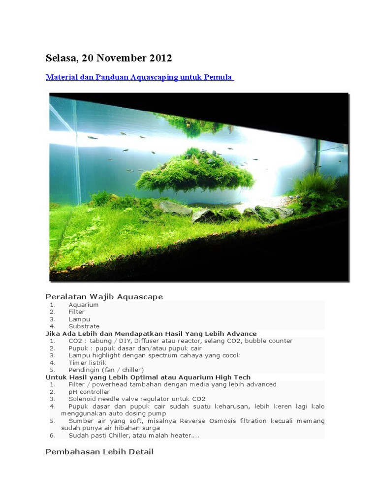 Panduan Aquascape | PDF