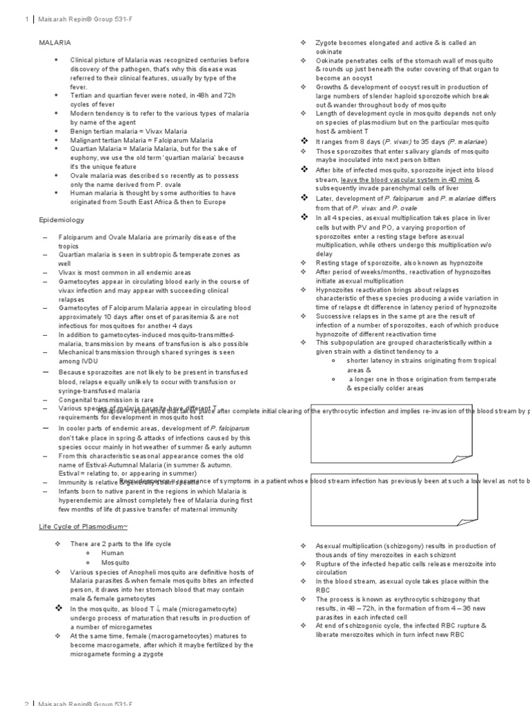 1 Maisarah Repin© Group 531-F | PDF | Malaria | Plasmodium