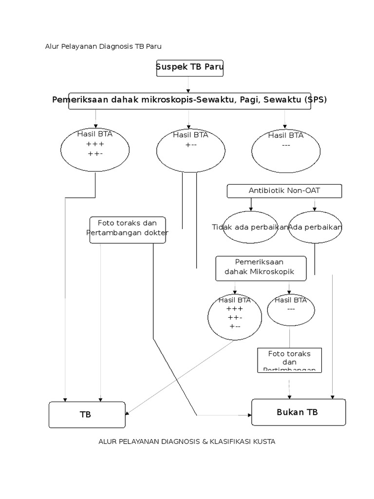 Alur Pelayanan Diagnosis TB Paru | PDF | Sains & Matematika