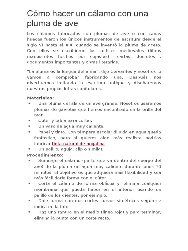 Cómo hacer un cálamo con pluma de ave | PDF | Tinta | Aves
