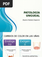 Guía sobre Cromoniquia y Alteraciones Ungueales | PDF | Clavo (anatomía ...