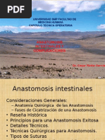 Técnicas de Anastomosis Intestinales | PDF | Cirugía | Digestión