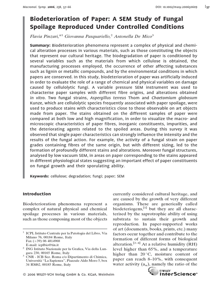 Fungal Impact on Paper Biodeterioration | PDF | Paper | Scanning ...