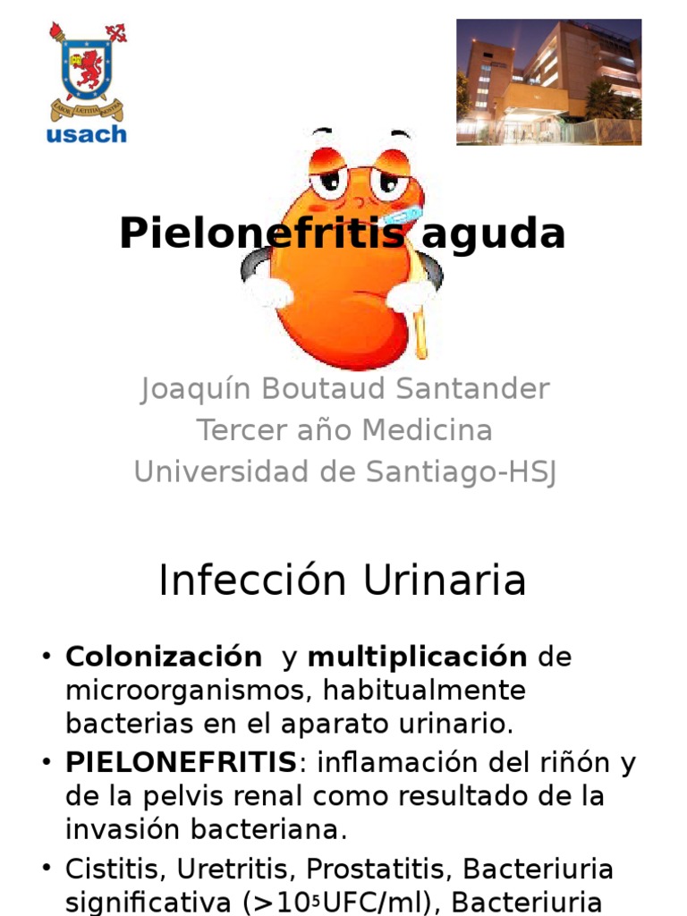 Pielonefritis Aguda | PDF | Infección del tracto urinario | Urología