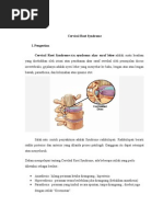 Peta Dermatome dan Inervasi Saraf | PDF