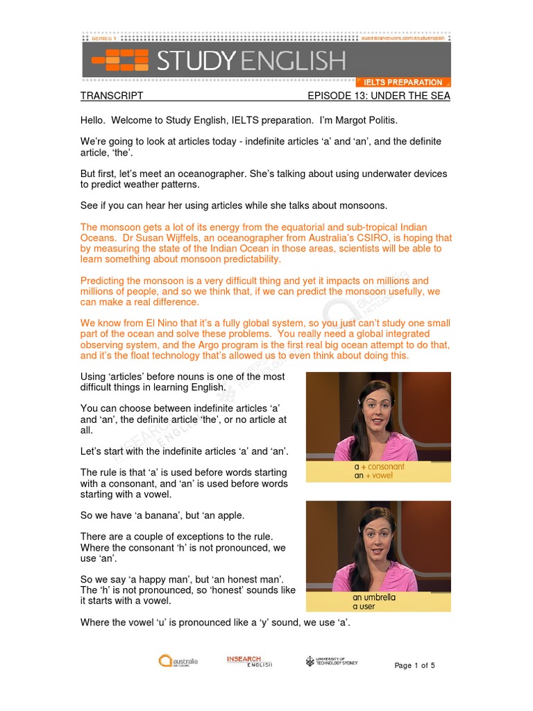 s1013 Transcript PDF | PDF | Noun | Plural