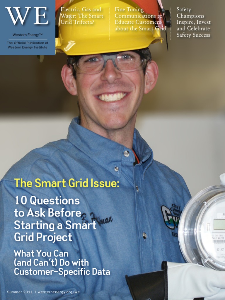 Smart Meter | PDF | Smart Grid | Electrical Grid