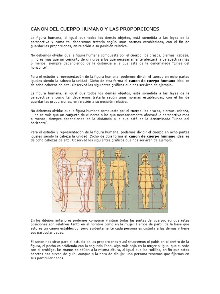 Canon Del Cuerpo Humano Y Las Proporciones Pdf Perspectiva Gráfica