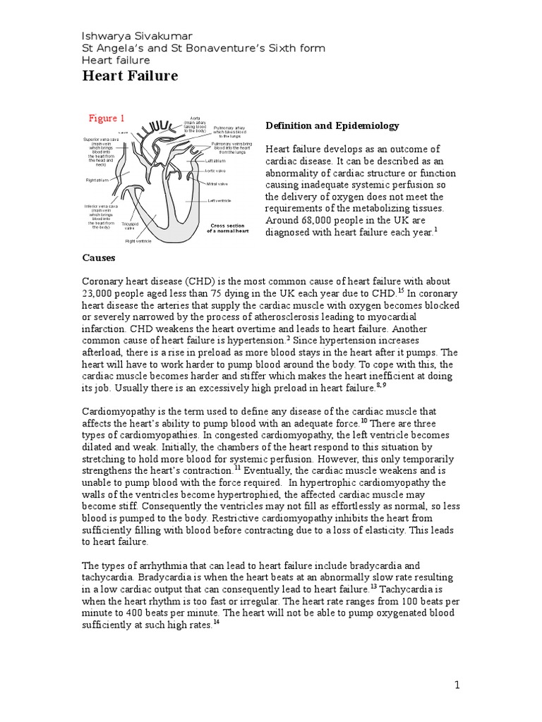 Heart Failure: Definition and Epidemiology | PDF | Heart Failure | Heart