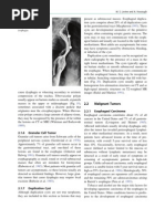 MBSImP Scoring Guide and Descriptors | PDF | Human Throat | Primate Anatomy