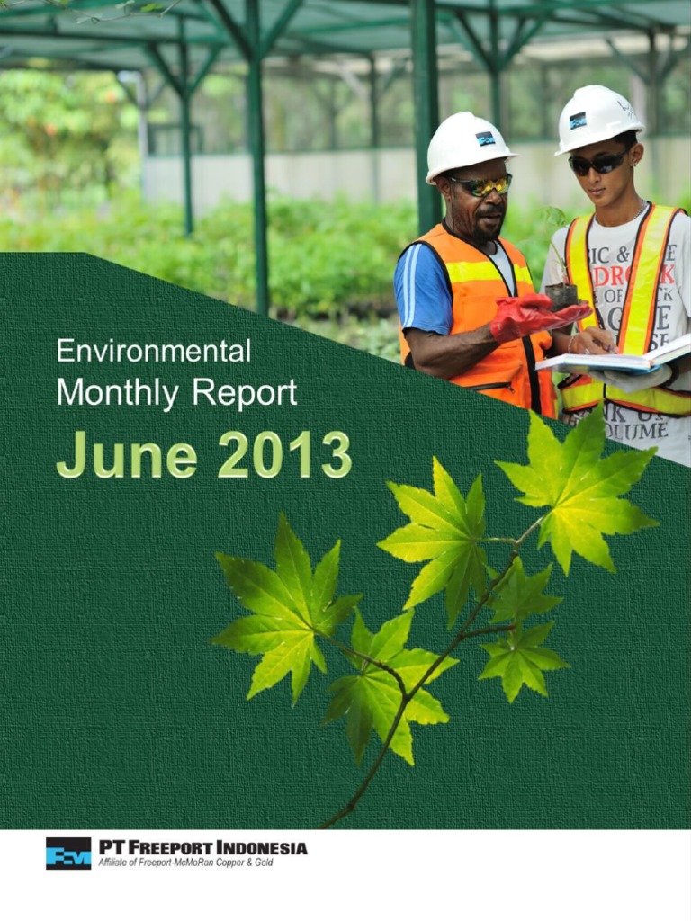 Environmental Monthly Report - Jun 13 | PDF | Environmental Monitoring ...