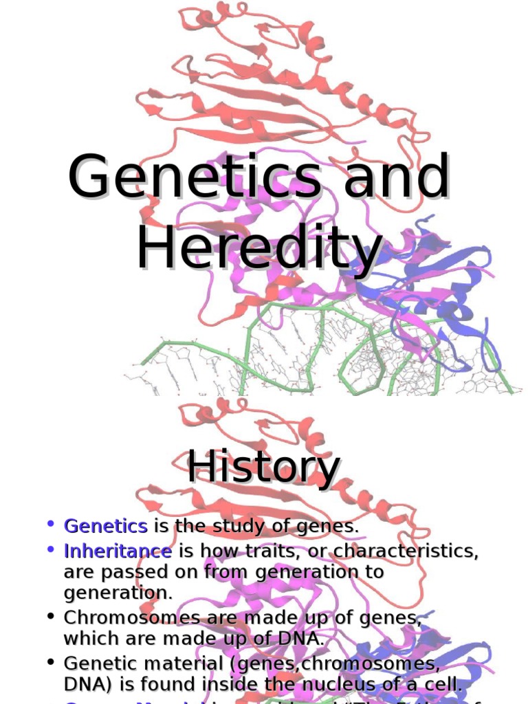 Genetics And Heredity Pdf