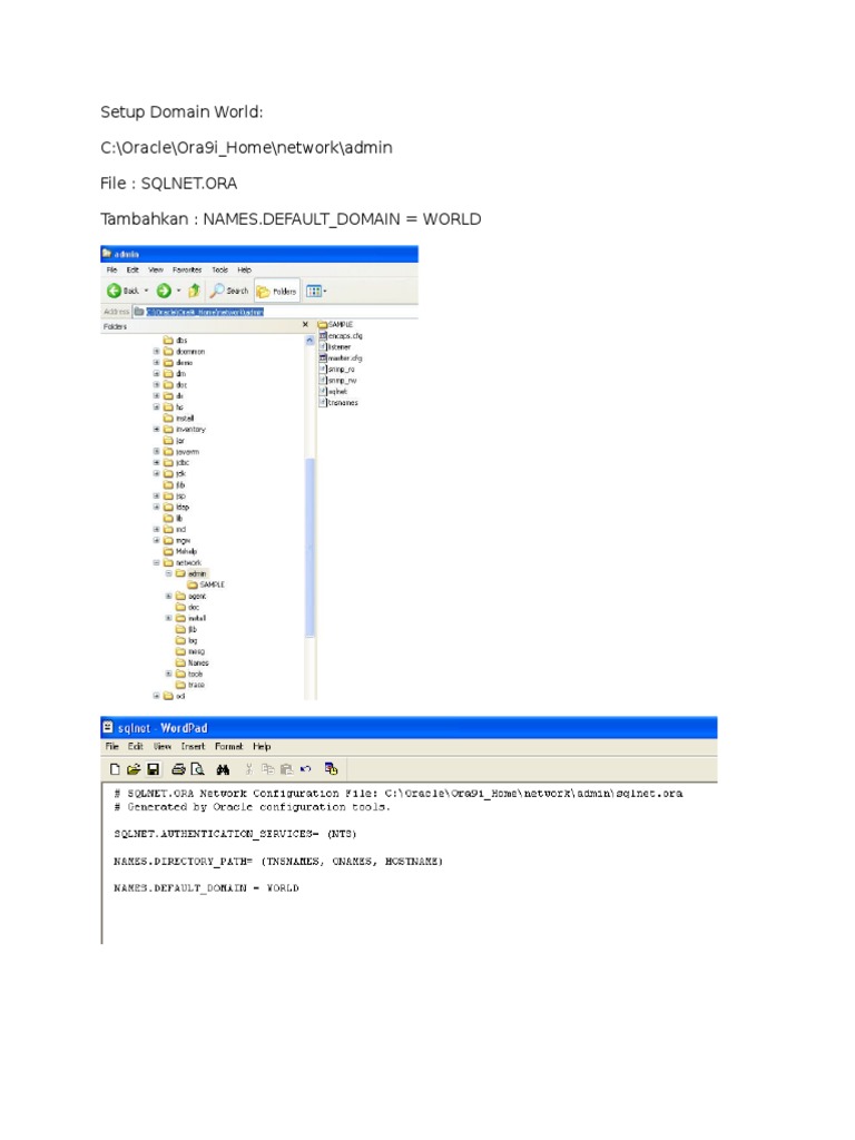 Oracle 9i Domain Setup Guide | PDF