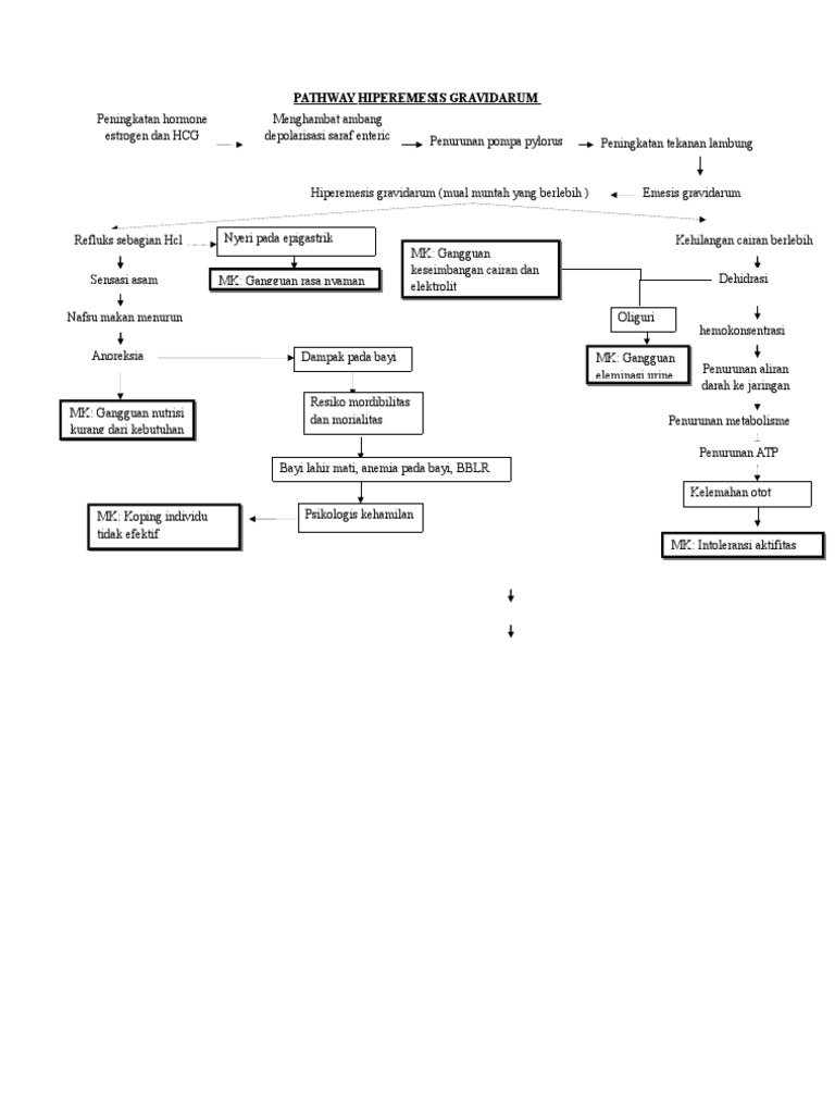 Pathway Hiperemesis Gravidarum | PDF