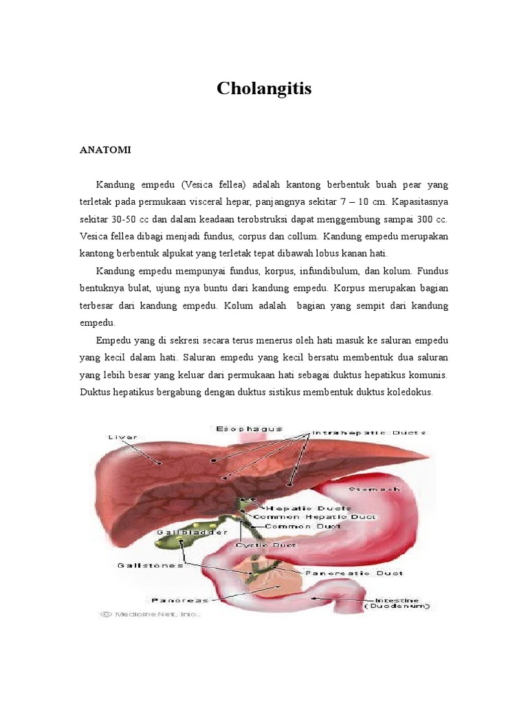 Kolangitis | PDF | Kesehatan Holistik
