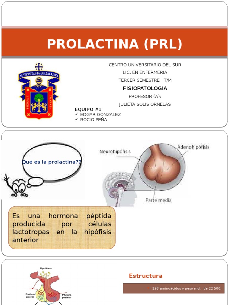Prolactina PRL | PDF