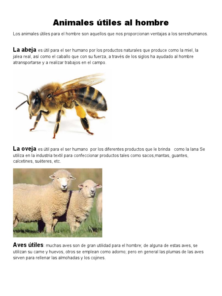 Animales Útiles Al Hombre06!03!2015 | PDF