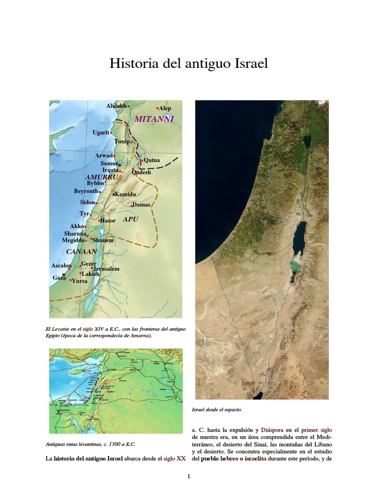 Historia Del Antiguo Israel | PDF | Canaán | David