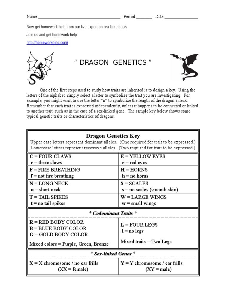 Dragon Genetics Worksheet | PDF | Phenotypic Trait | Dominance (Genetics)