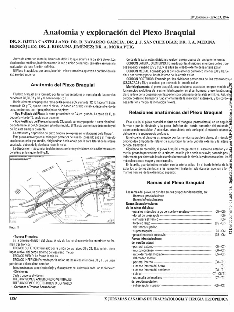Dermatomas y Miotomas PDF | PDF | Codo | Extremidades (anatomía)