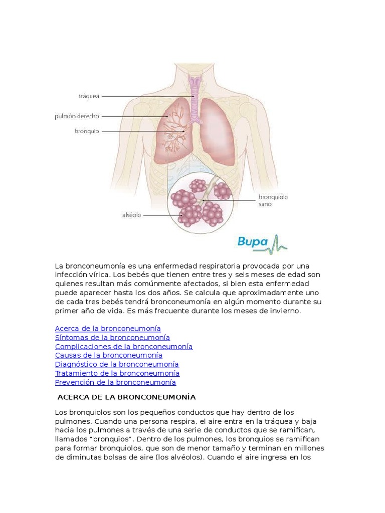 La Bronconeumonía Es Una Enfermedad Respiratoria Provocada Por Una ...