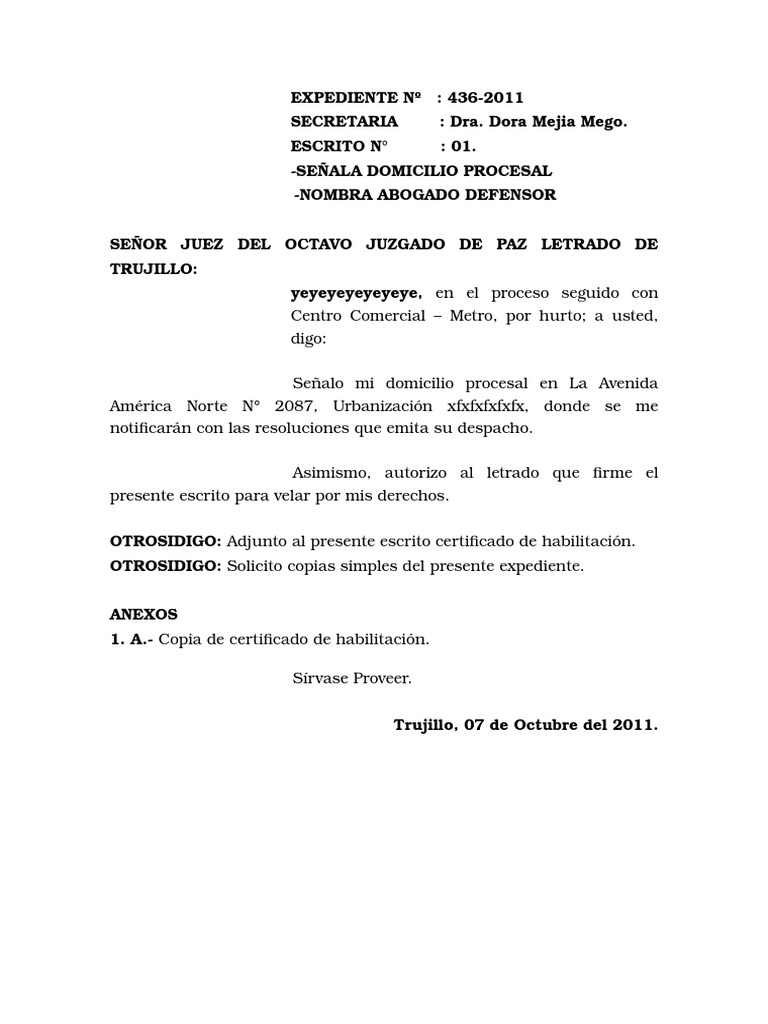 Designo Abogado Defensor | PDF