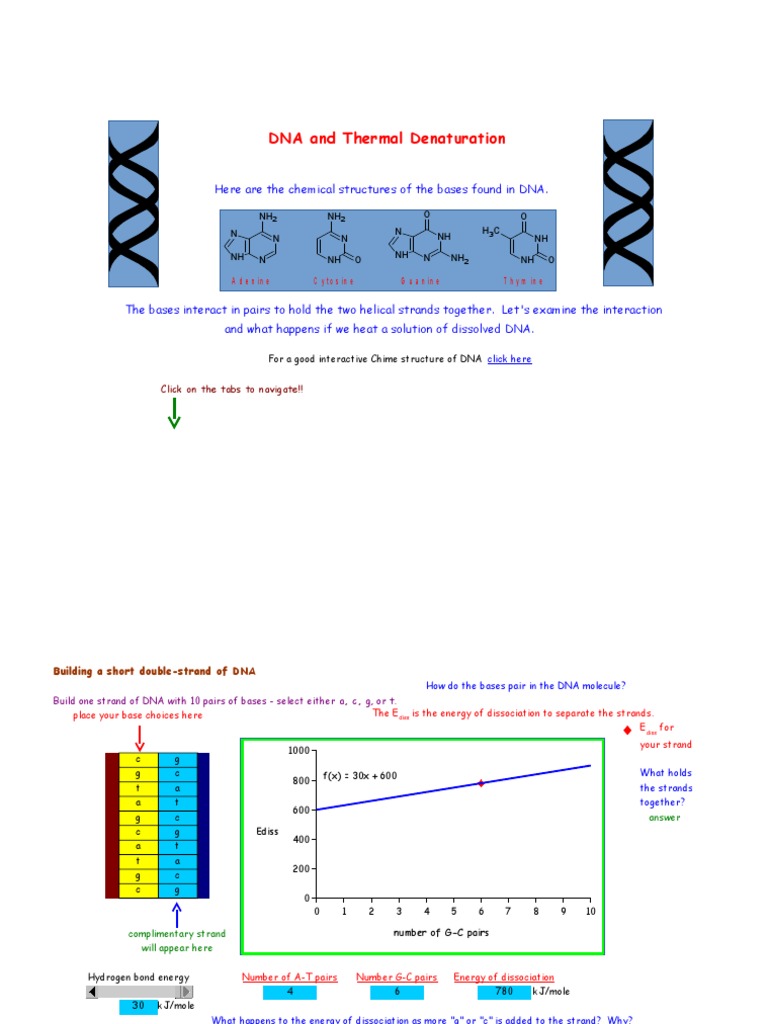 DNA Base Pairing | PDF | Base Pair | Denaturation (Biochemistry)