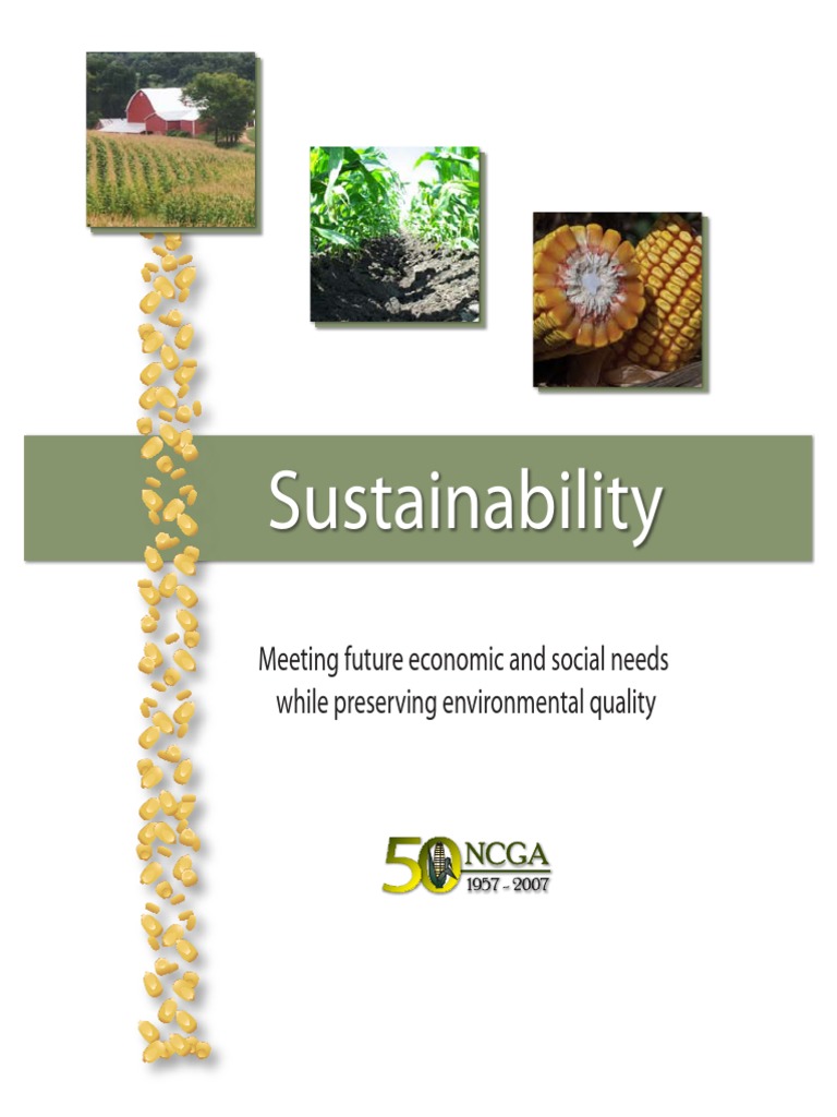 Sustainabilityfinal | PDF | Tillage | Agriculture