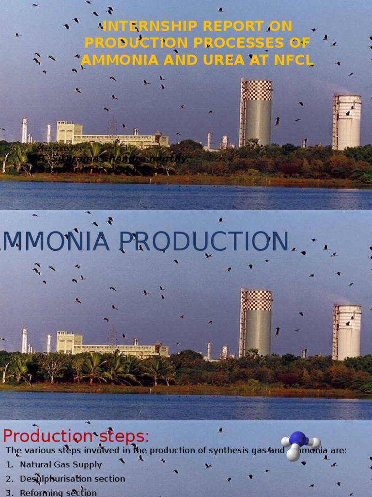 Ammonia Production | PDF | Urea | Ammonia