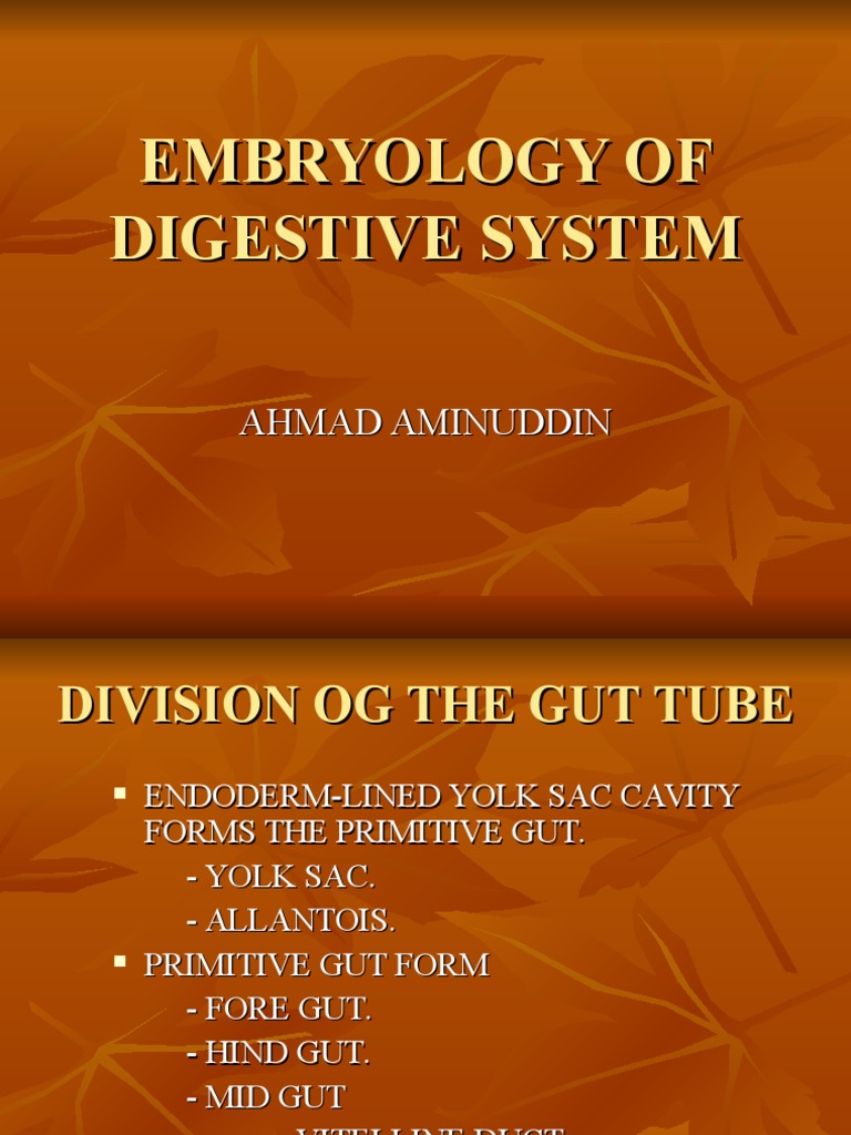 Embryology of Digestive System1 | Pancreas | Gastrointestinal Tract