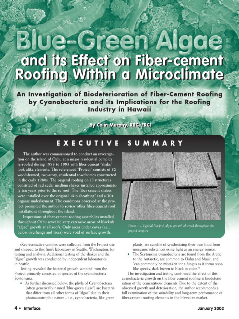 Blue Green Algae PDF | PDF | Nitrogen | Cyanobacteria